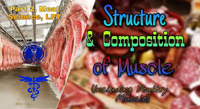 Structure and Composition of Muscle - Meat Science.