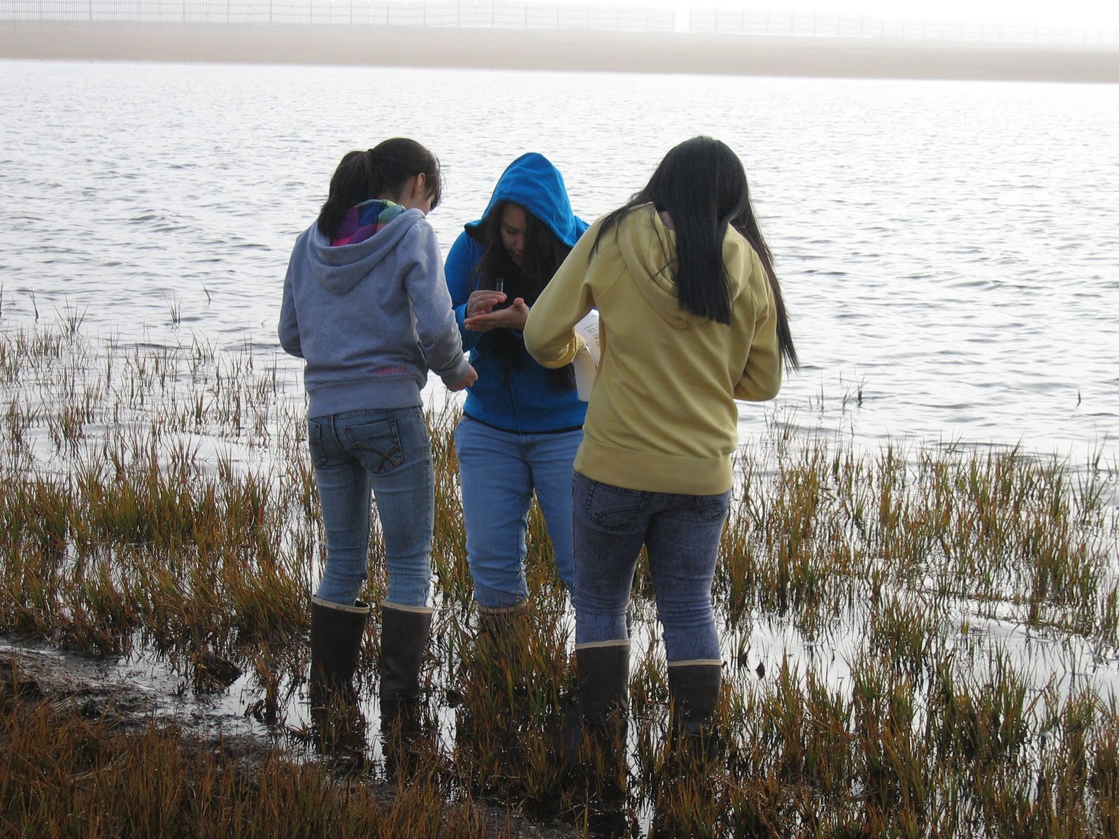 SMORE Alaska: Fieldwork