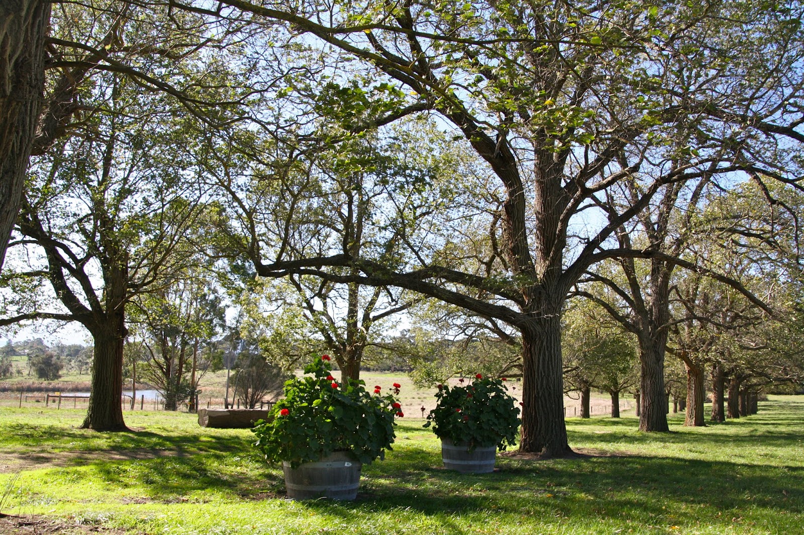 RDO Melbourne: Coombe Yarra Valley