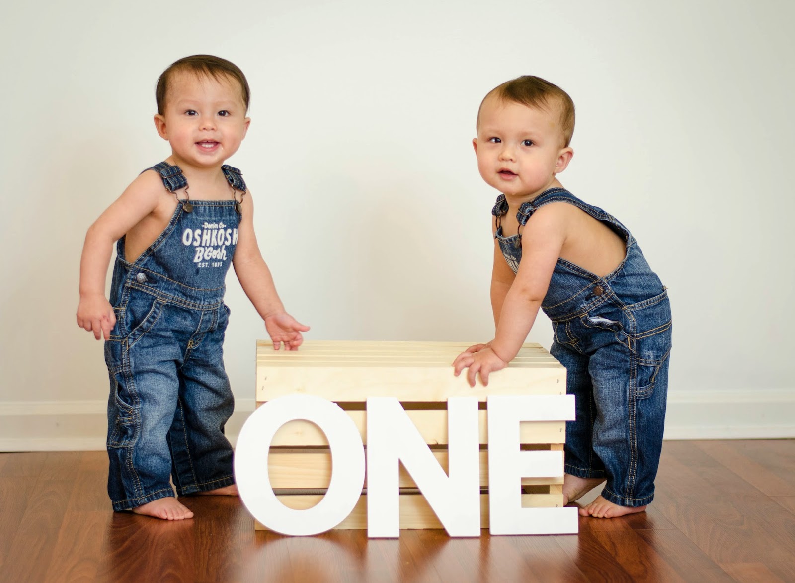 Loving Life: Our Twin Boys' One Year Photo Session