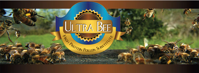 DC Honeybees: Getting Ready For Spring, Which Is Around The Corner