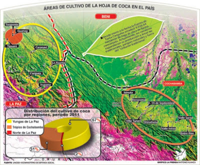 La coca se extiende por todo el norte paceño | AGRONOMIA
