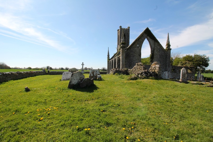 Places to Visit - Ballinafagh Lake in Kildare - Purity Belle ...