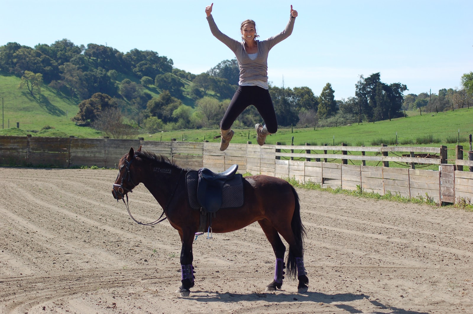 Adopt a Wild Mustang!: Sweet Pea, Jumping For Joy!
