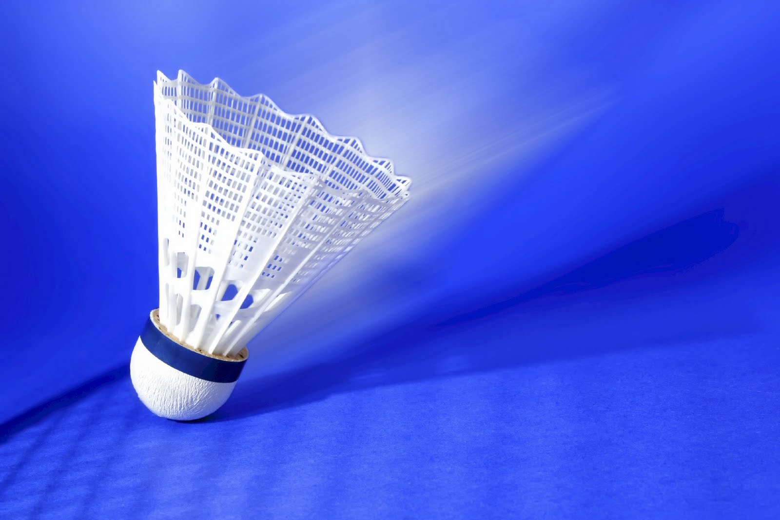 SPORTSALLINS: BADMINTON