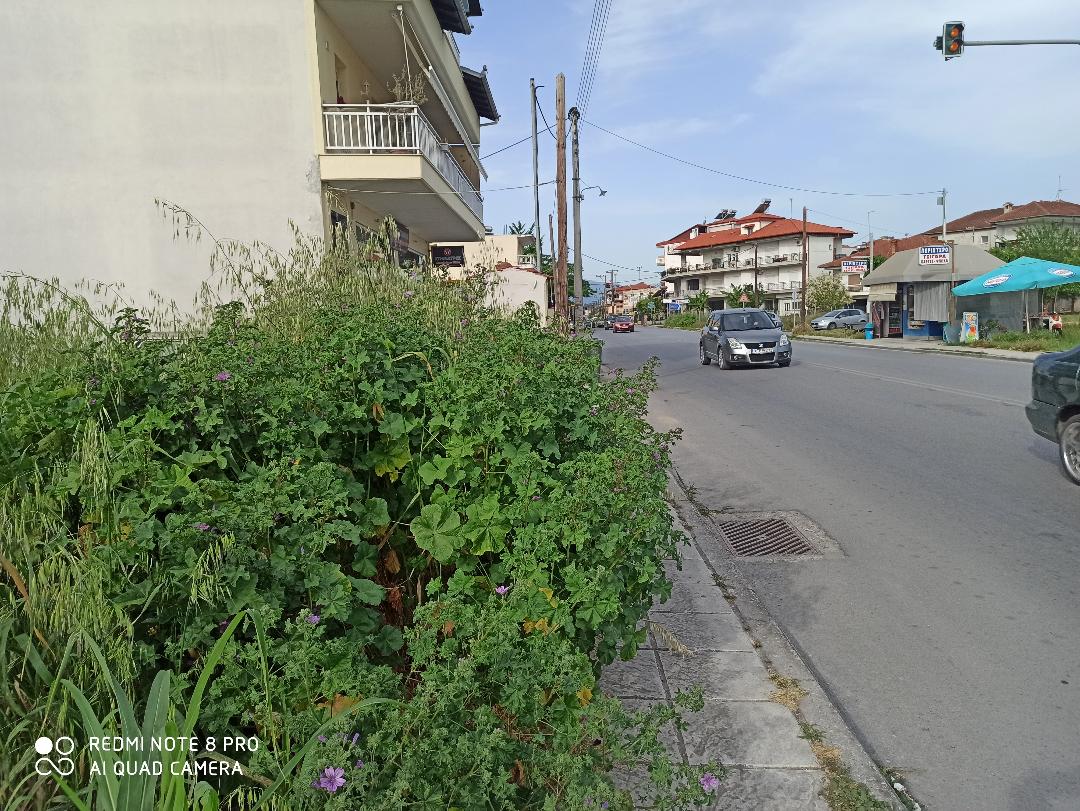 ΛΕΥΤΕΡΙΑ: ΣΥΓΧΑΡΗΤΗΡΙΑ... (ΦΩΤΟ)