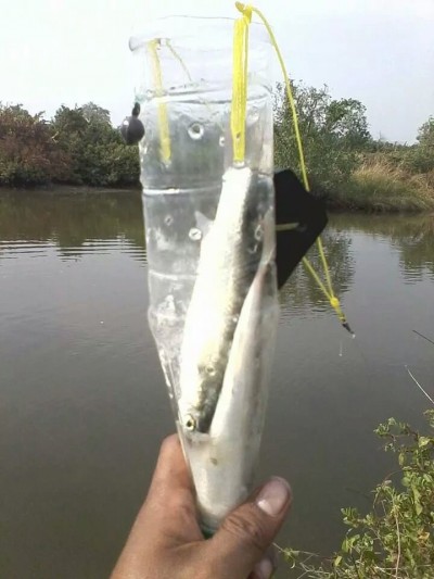 Tips Mancing, Cara Memancing Ikan Belanak Menggunakan Botol Minum Bekas | Aliems' Journey