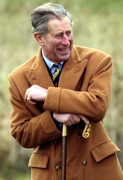Prince Charles - Patched Jacket