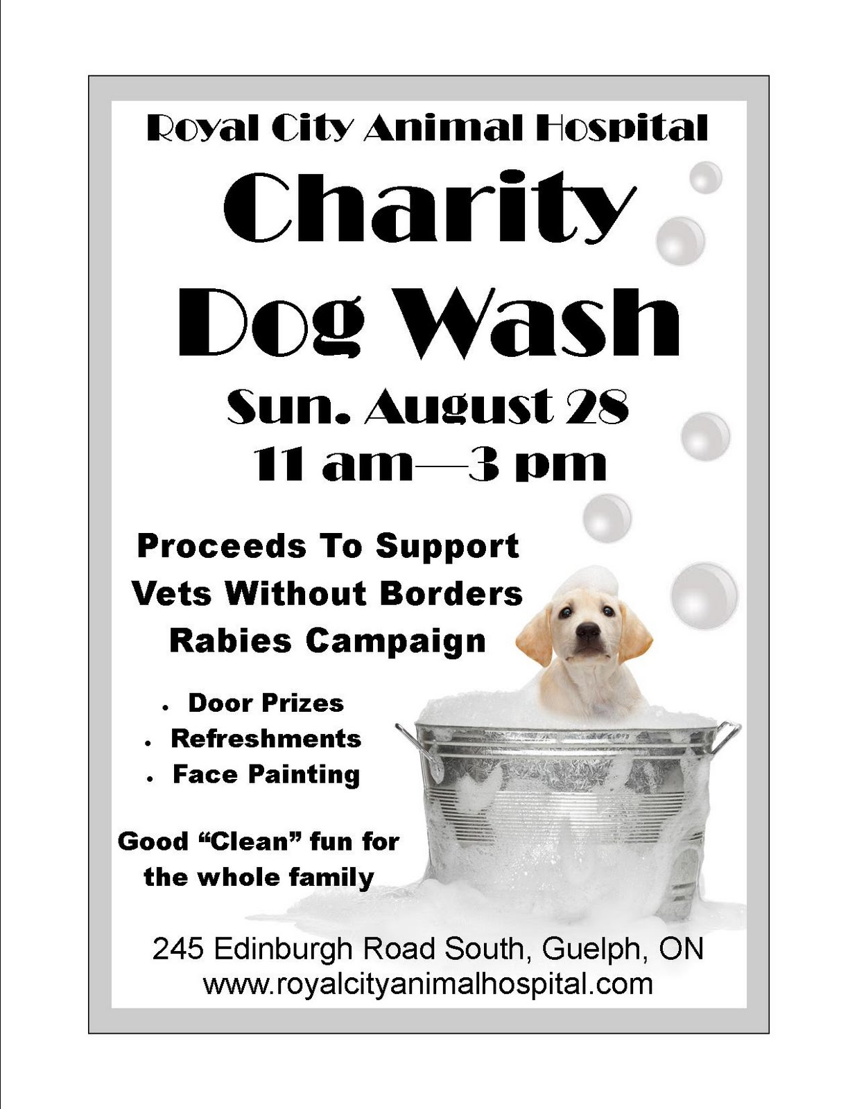 Royal City Animal Hospital: Charity Dog Wash