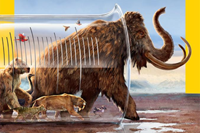 Extinction, extirpation and excess: De-Extinction: Return of the Endlings?