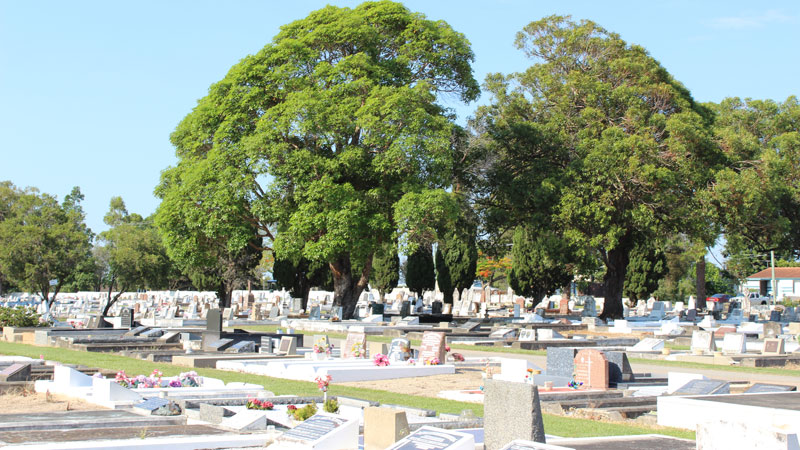 That Moment in Time: CEMETERY - COMMENTS & QUANDARIES