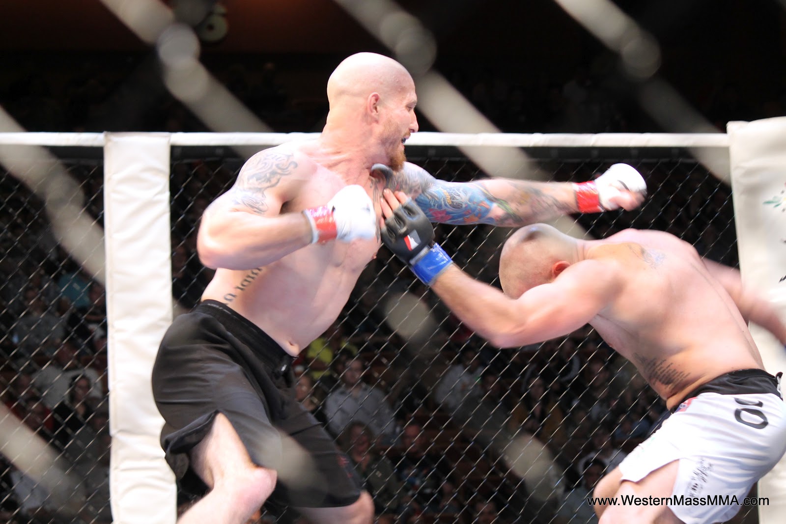 WesternMassMMA.com News, Reviews, Videos, Previews: Review for Reality ...