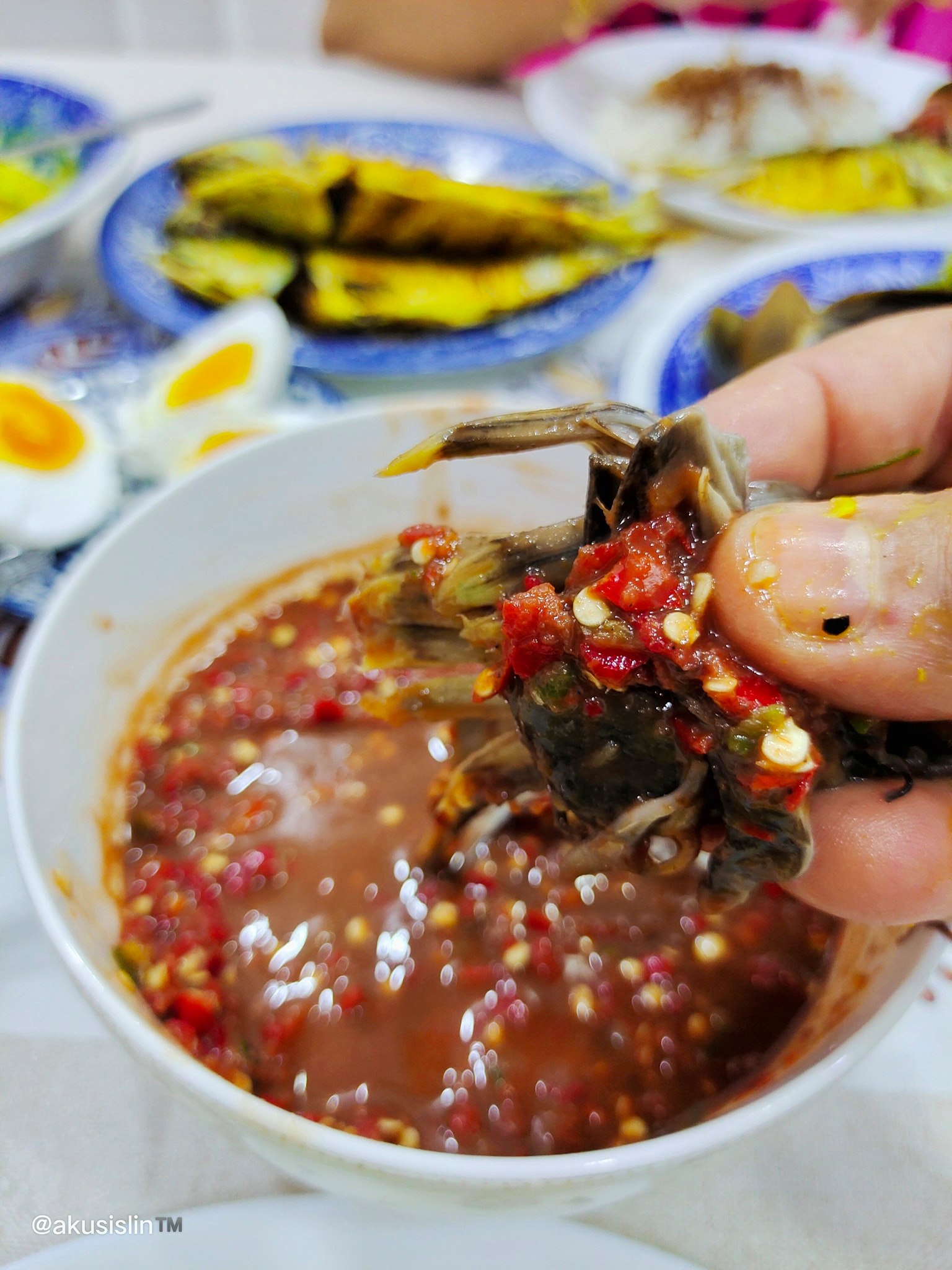 MENU LAUK KAMPUNG YANG MENYELERAKAN!