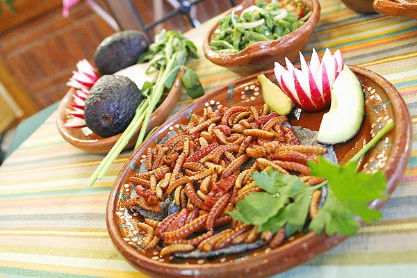 ESCAMOLES Y GUSANOS DE MAGUEY, RECETA ~ TLAXCALITA LA BELLA