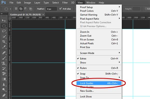 PhotoEffect: How To Make a Grid and Guides in Photoshop