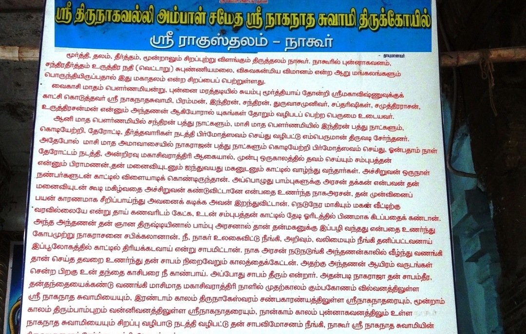 Tamilnadu Tourism: Nagoor Naganathar Temple, Nagapattinam