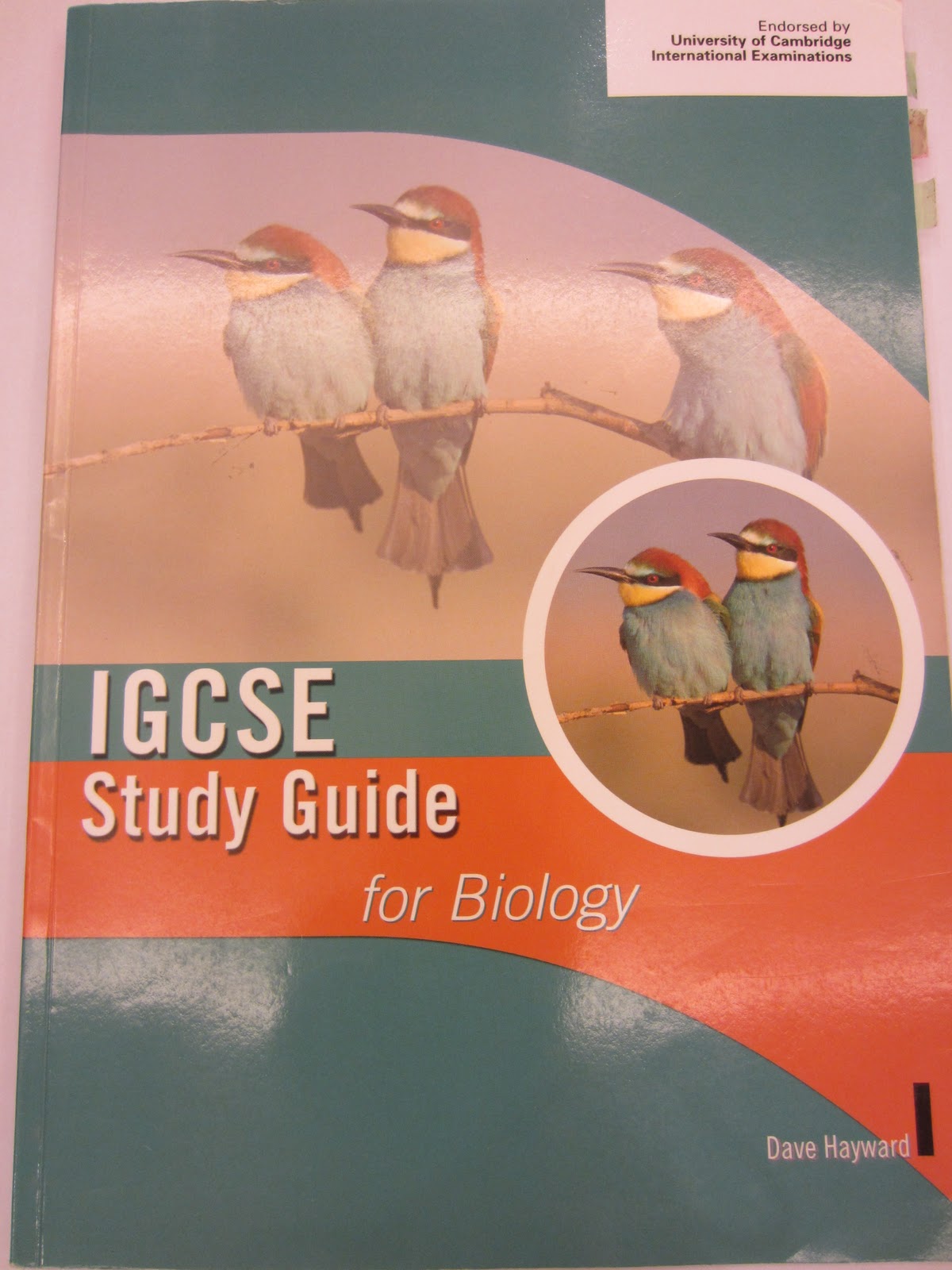 SECOND HAND IGCSE AND G.C.E. 'O' LEVEL TEXTBOOKS FOR SALE: IGCSE ...
