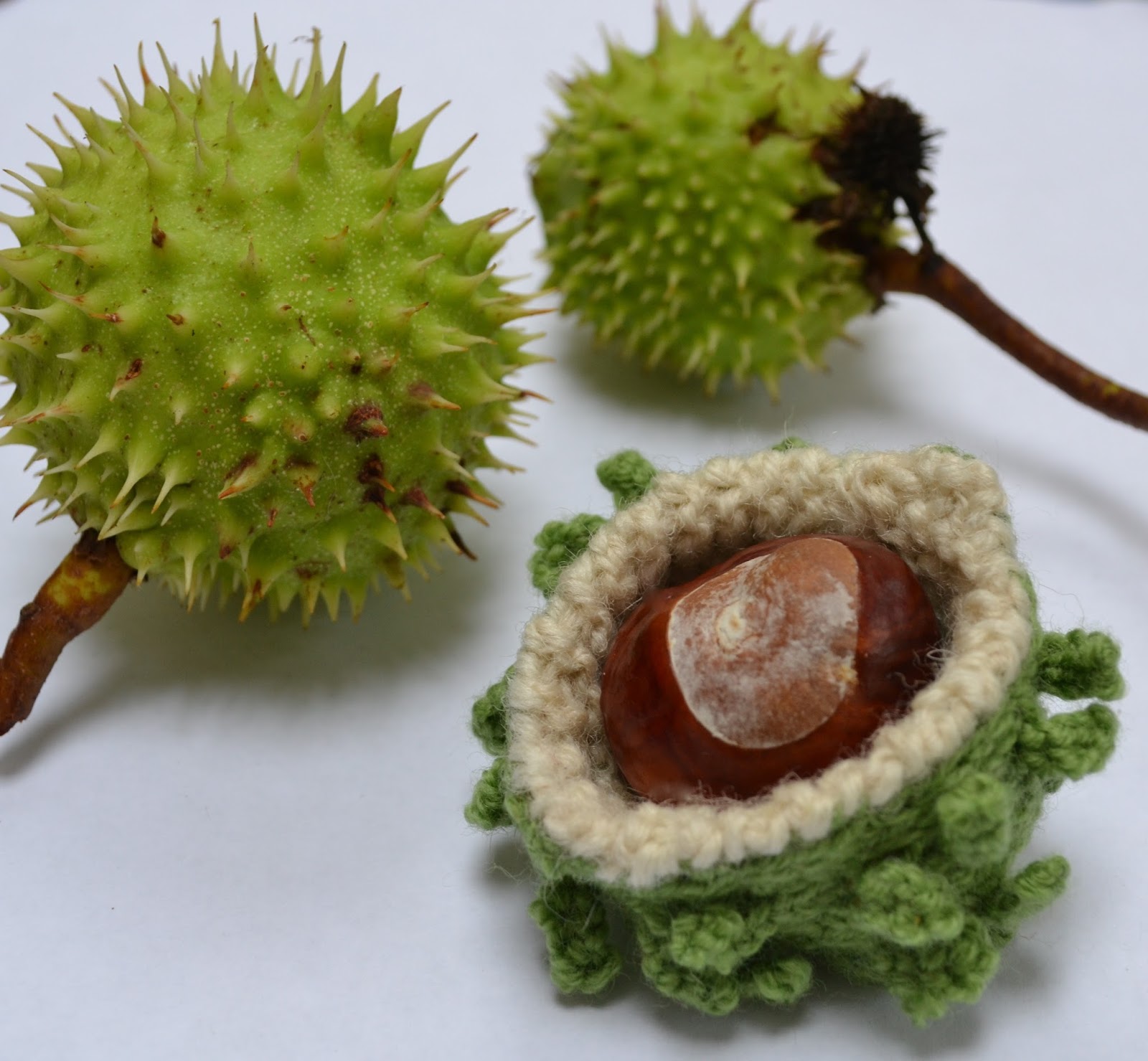Ginx Craft : Conkers Revisited