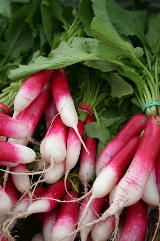 The Rainforest Garden: Eating Healthy and Fancy on a Budget