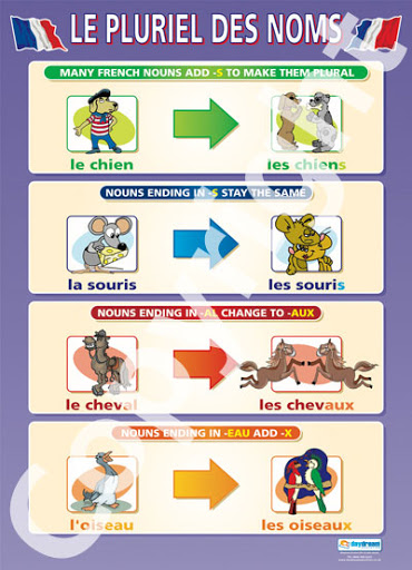 MON COIN DE FRANÇAIS: LE PLURIEL DES NOMS ET ADJECTIFS