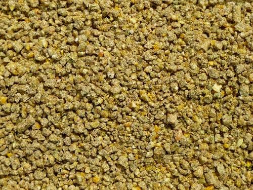 Jual Pakan Bebek Organik masa starter - MUSTIKA PAKAN