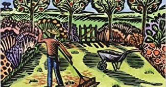 La libreria di Eva: RECENSIONE: Il reverendo, le rose e le stravaganze ...