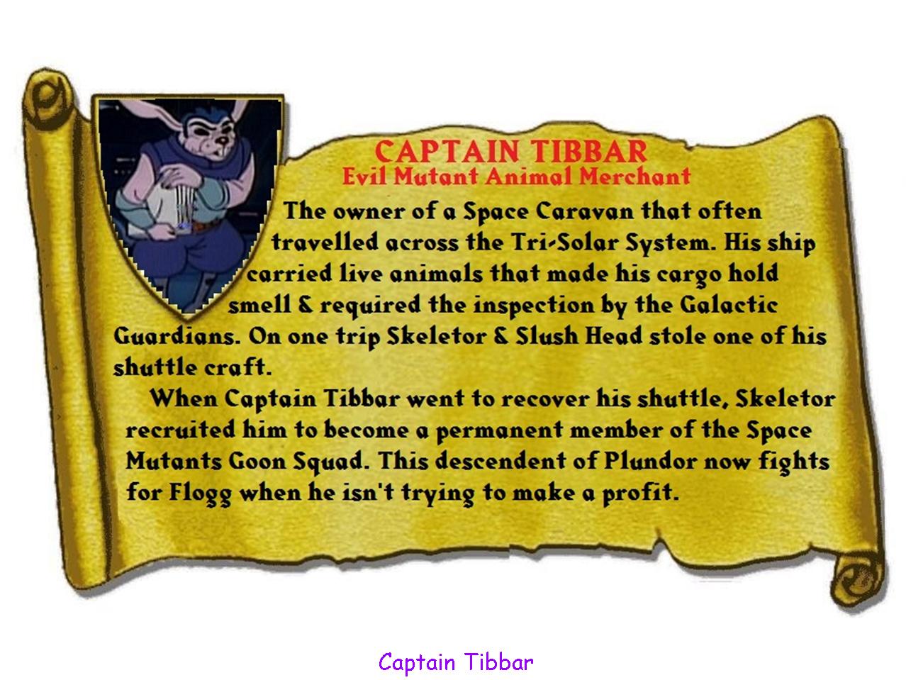 The Power Sword: Captain Tibbar