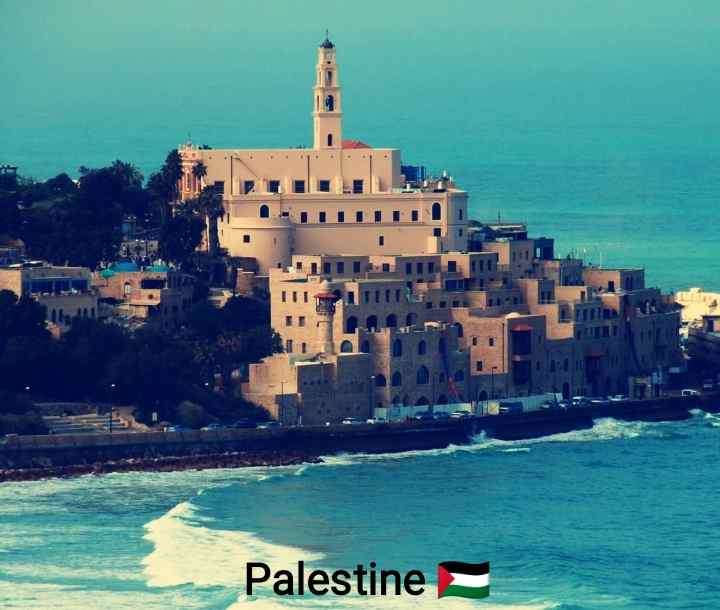 The 10 Most Beautiful Places in Palestine