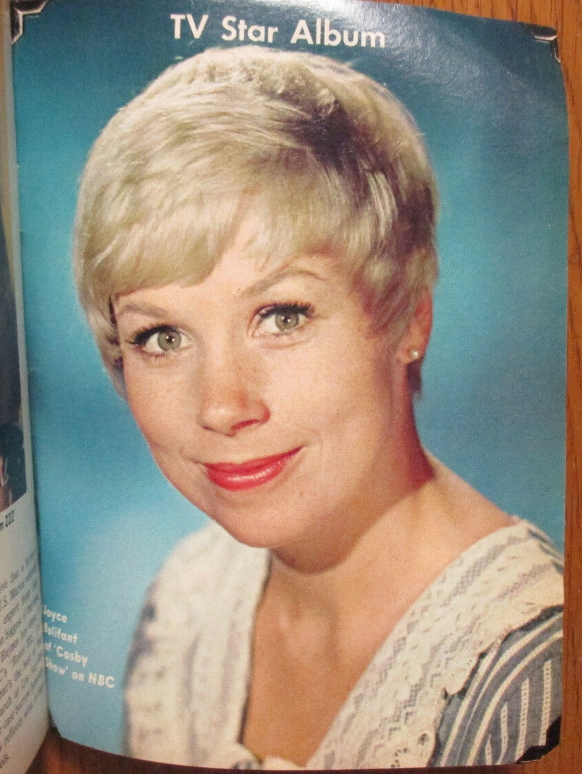 The Brady Bunch Blog