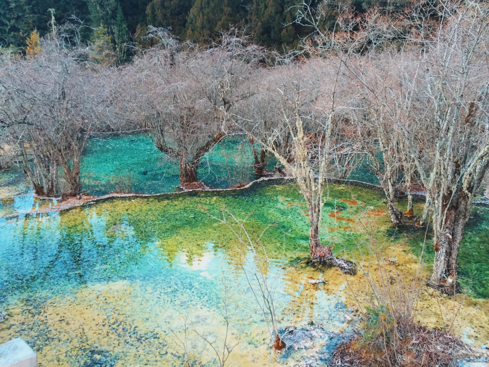 Top travel asia , Xue bao Ding, Sichuan, China - Nature88