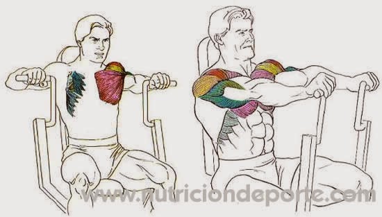 Culturismo,el mundo de las pesas.: Press-Vertical para pecho.
