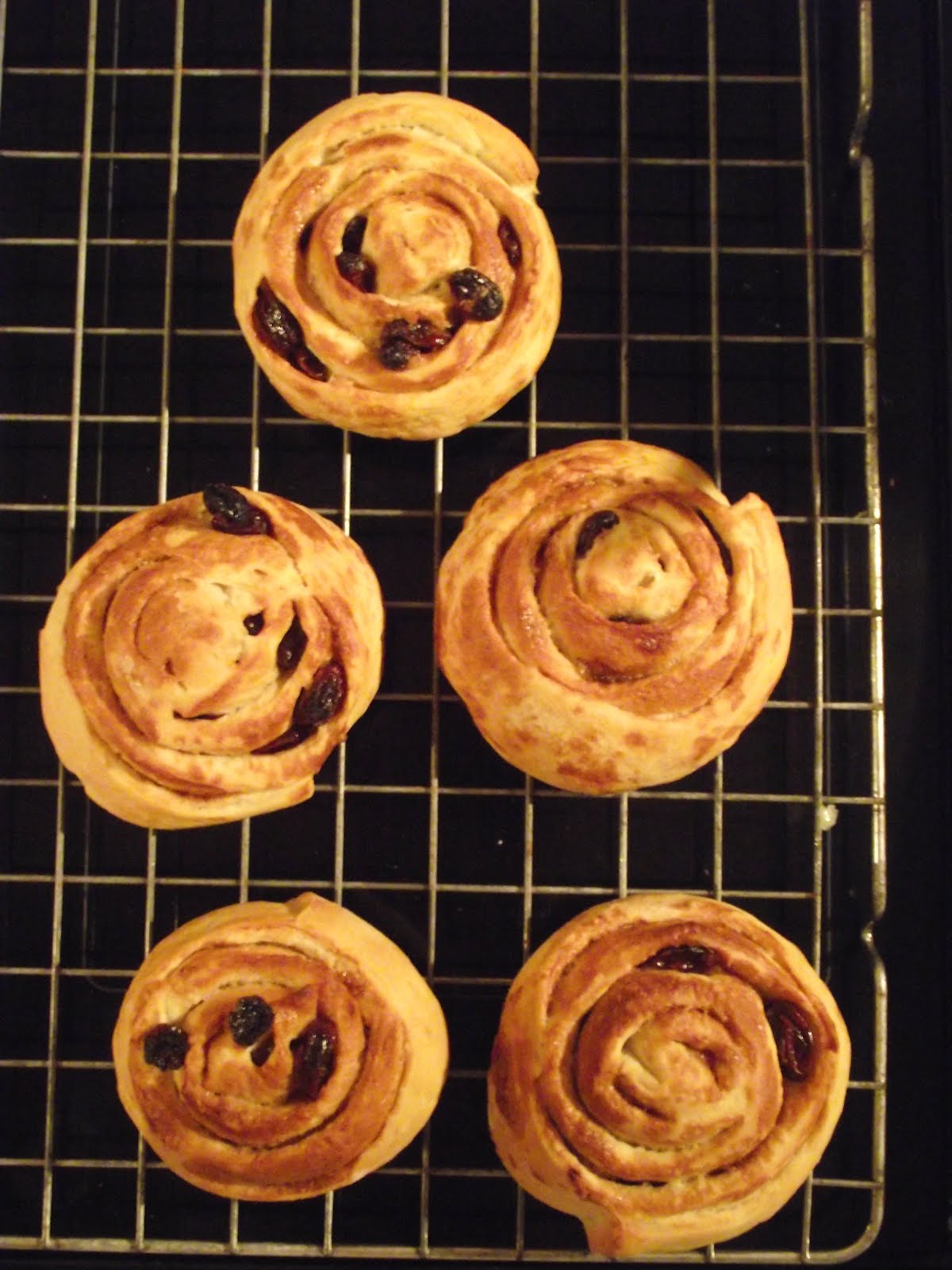 The Pasture Times: A Sussex Belgian Bun