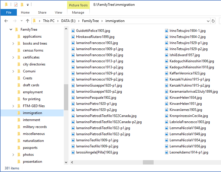 Fortify Your Family Tree: These 4 Simple Rules Will Improve Your ...