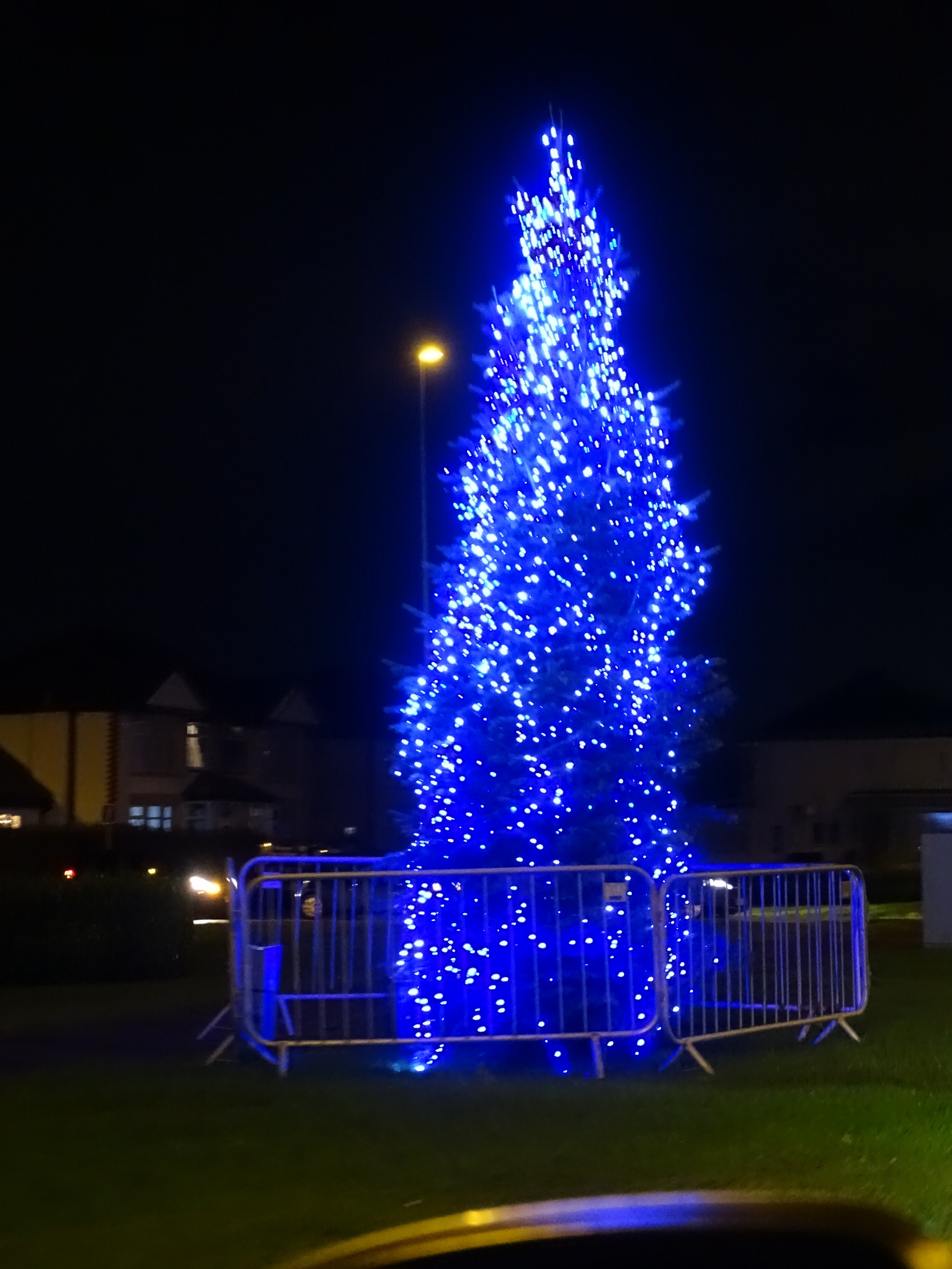 I live, I love, I craft, I am me...: Chrimbly Count down - Tree