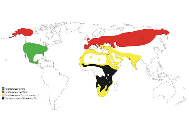 Abe's Animals: Lion range map