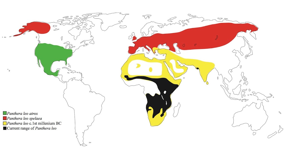 Abe's Animals: Lion range map