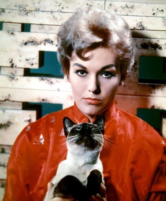20 Lovely Photos of Kim Novak With Her Cat Pyewacket in “Bell, Book ...
