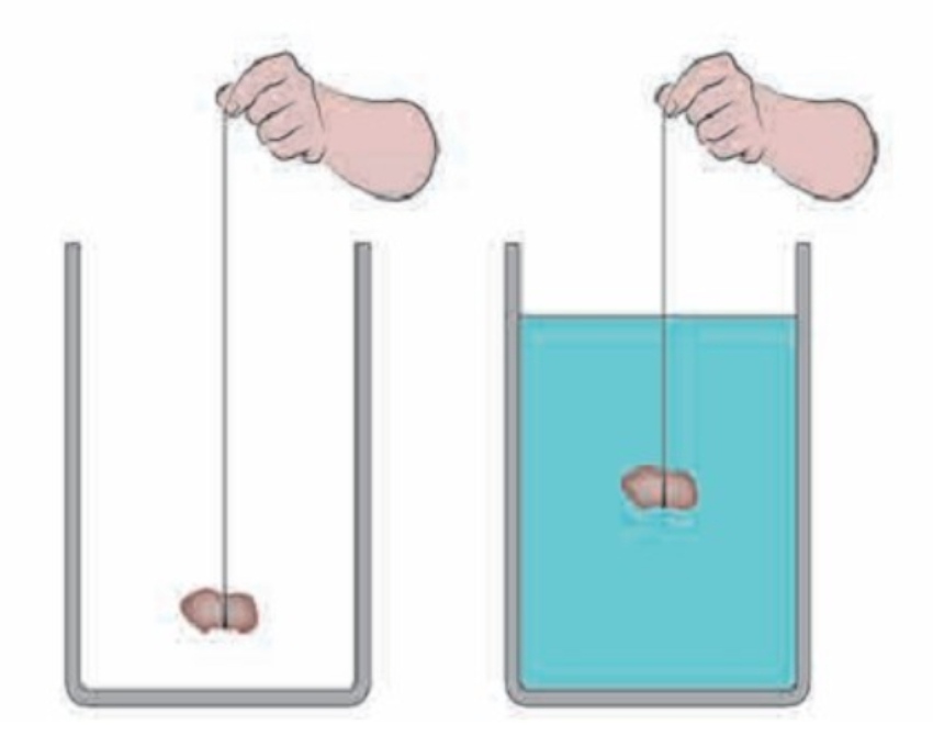 8th Std Science 3 Force And Pressure 8th-std-science-3-force-and-pressure