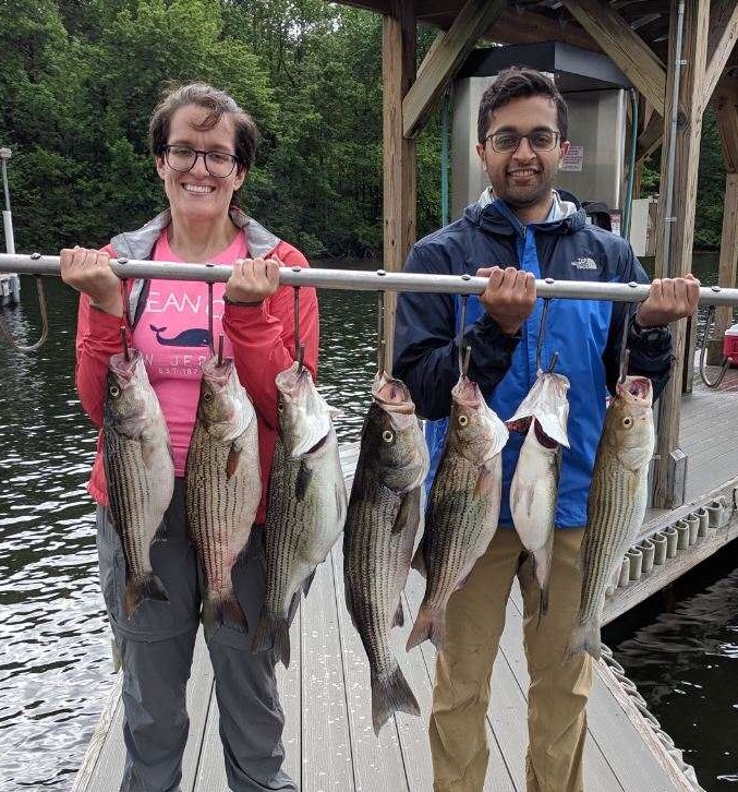 Lake Anna Striper Guide Journal: Lake Anna fishing is heating up!