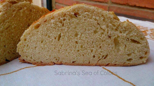 Dutch Tiger Buns o Bollo tigre holandés - Sabrina´s Sea of Colors