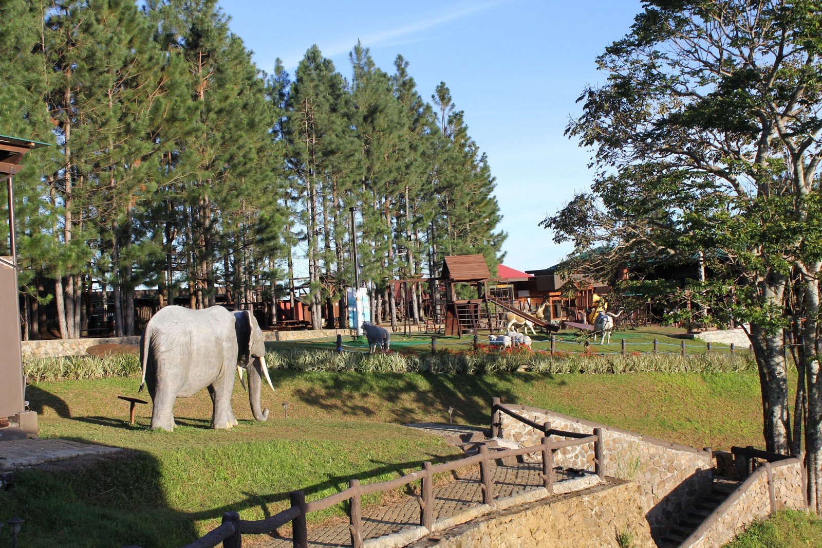 Stay, Stray, Play and Feast: Forest Park, Dahilayan Bukidnon