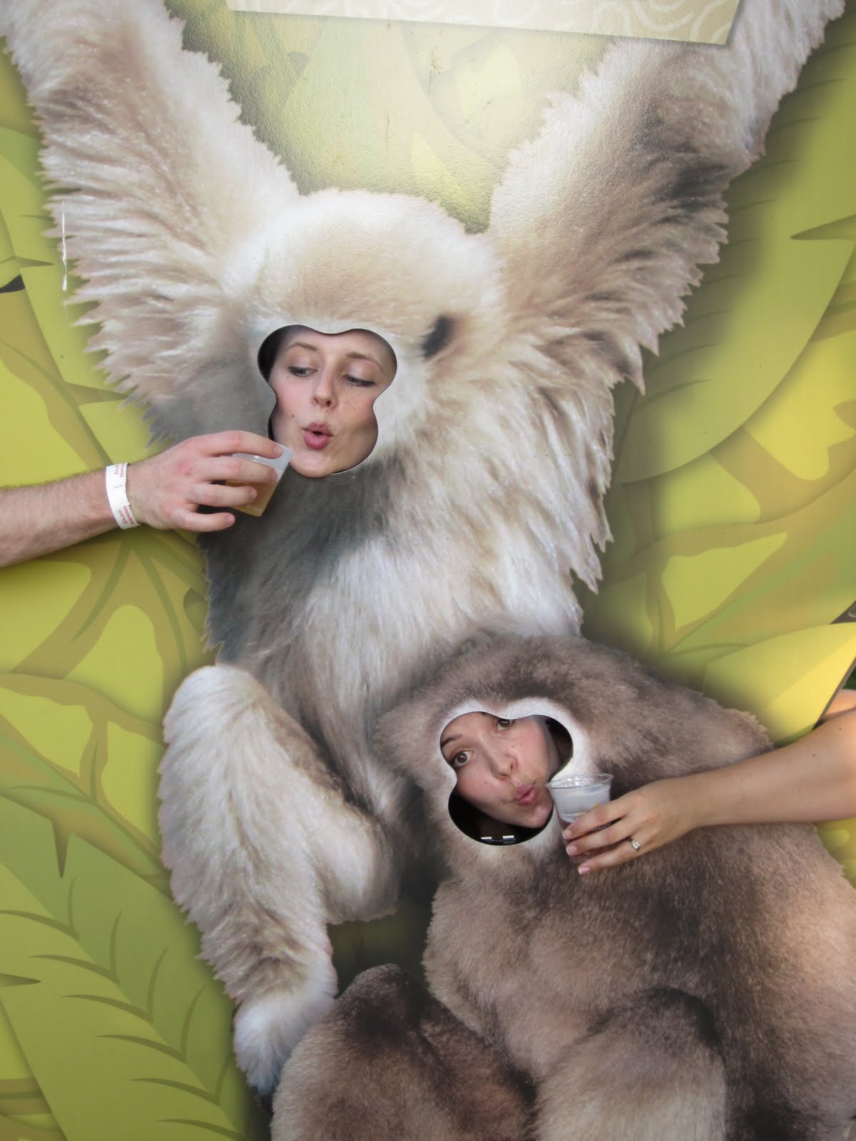 Sud Savant: Pints for Pachyderms