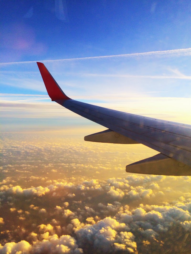 CRUSH YOUR FEAR OF FLYING WITH THESE FIVE TIPS | WILD & GRIZZLY