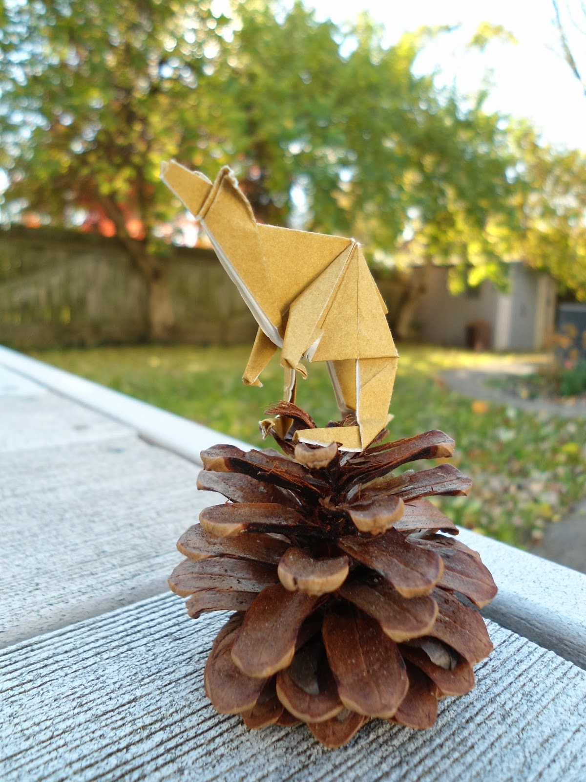 Origami Creations: Examples Of Intermediate - Advanced Origami