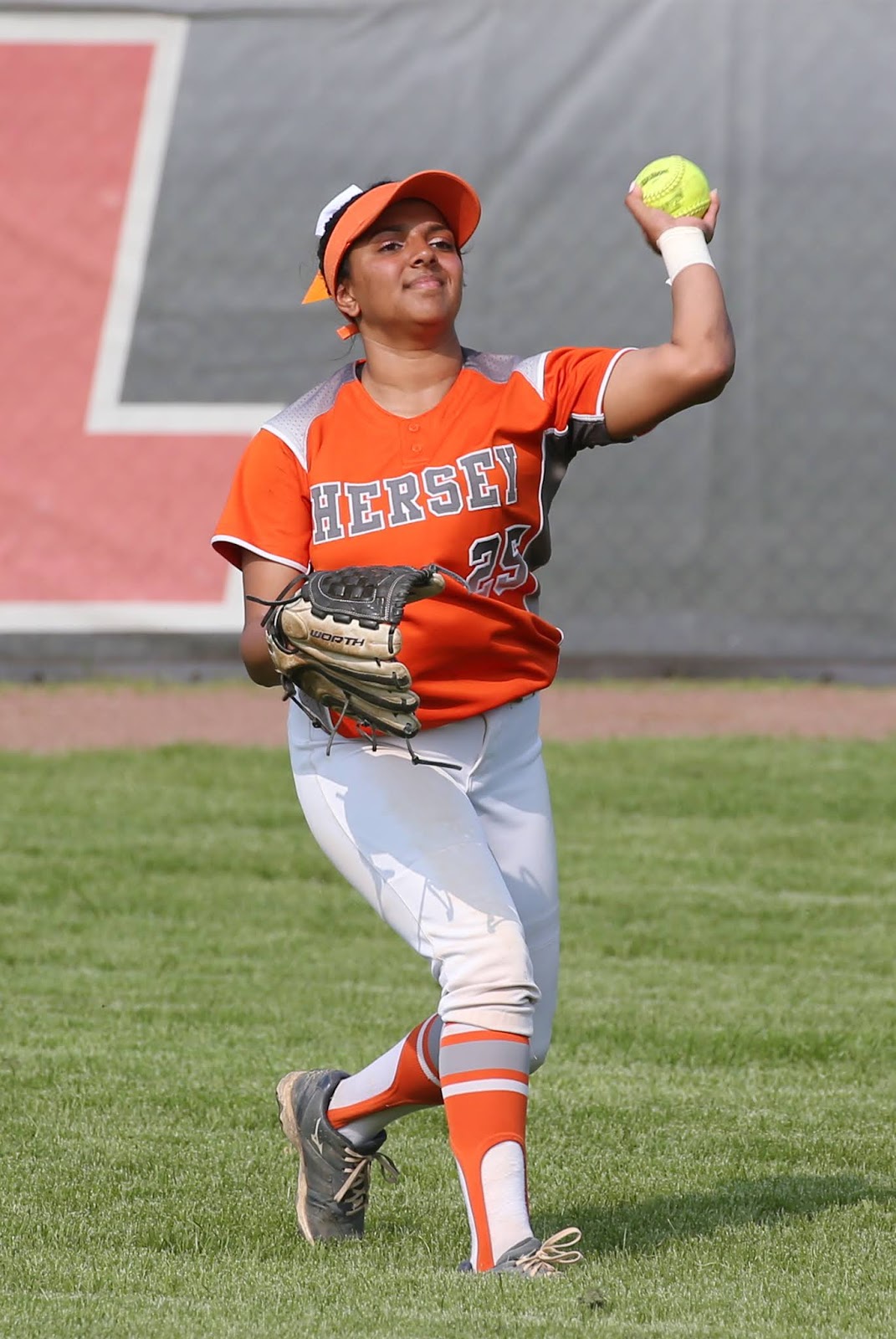 Mark Kodiak Ukena: IHSA Softball Class 4A Sectional Final: Hersey vs ...