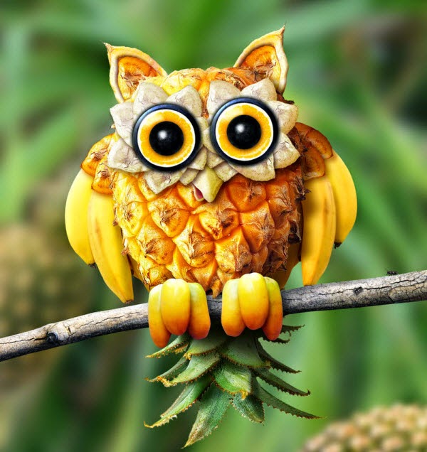 Fruit animal creations ~ Art Craft Gift Ideas