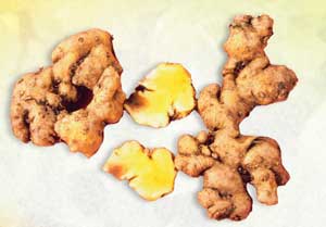 Tradisional Sehat: Khasiat Bangle