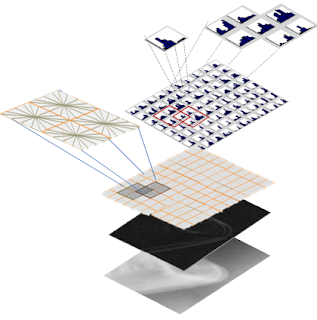 Farshbaf Doustar: HOG (Histogram of Oriented Gradients) with Matlab ...