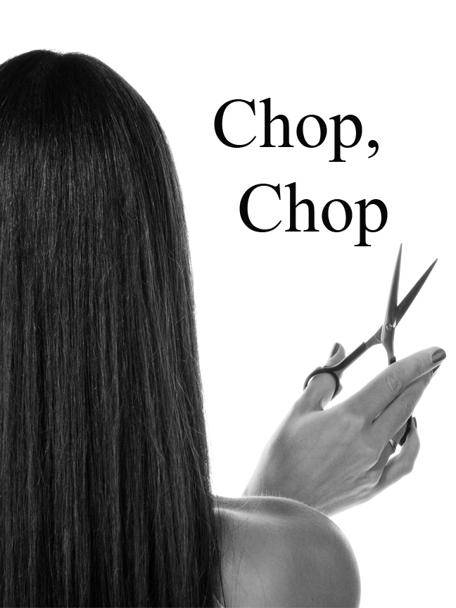 All Things Books Chop Chop By L N Cronk all-things-books-chop-chop-by-l-n-cronk