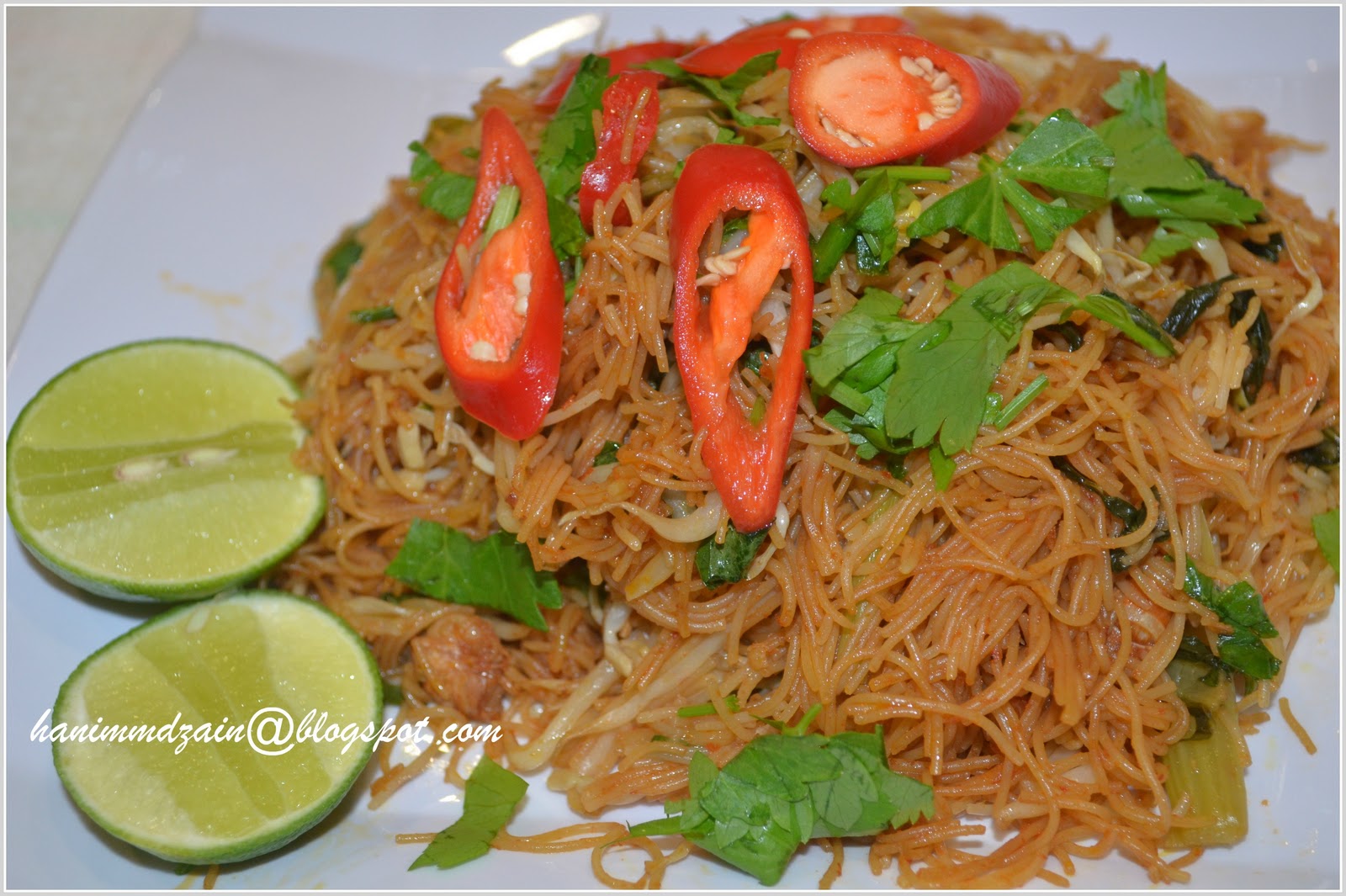 segalanya tentang kehidupan...: BIHUN GORENG